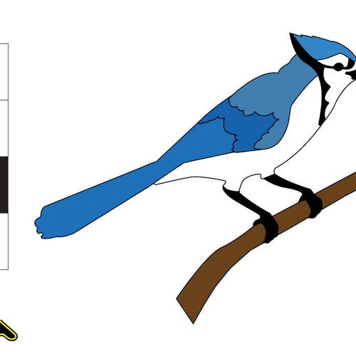 Blue Jay SVG Cut File - Etsy