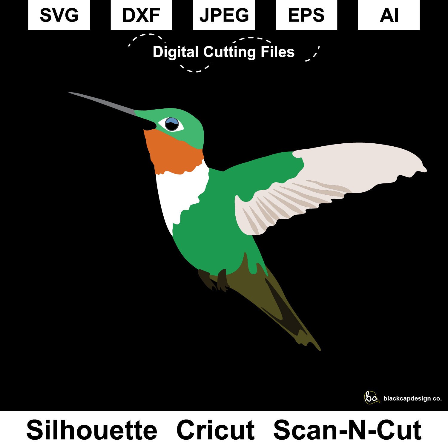 Humming Bird SVG Cut File - Etsy