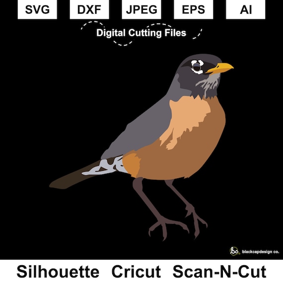 Robin Bird SVG Cut File - Etsy
