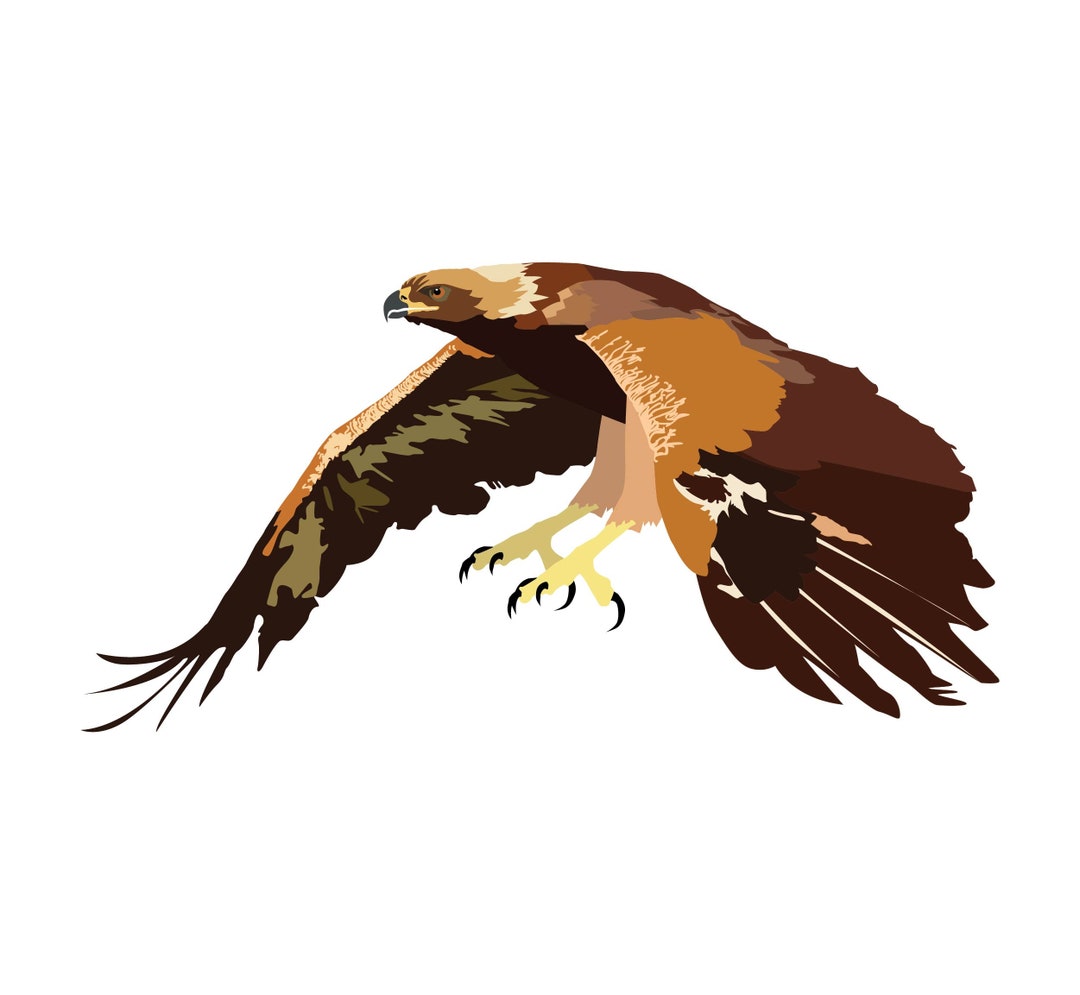 Hawk SVG Cut File - Etsy