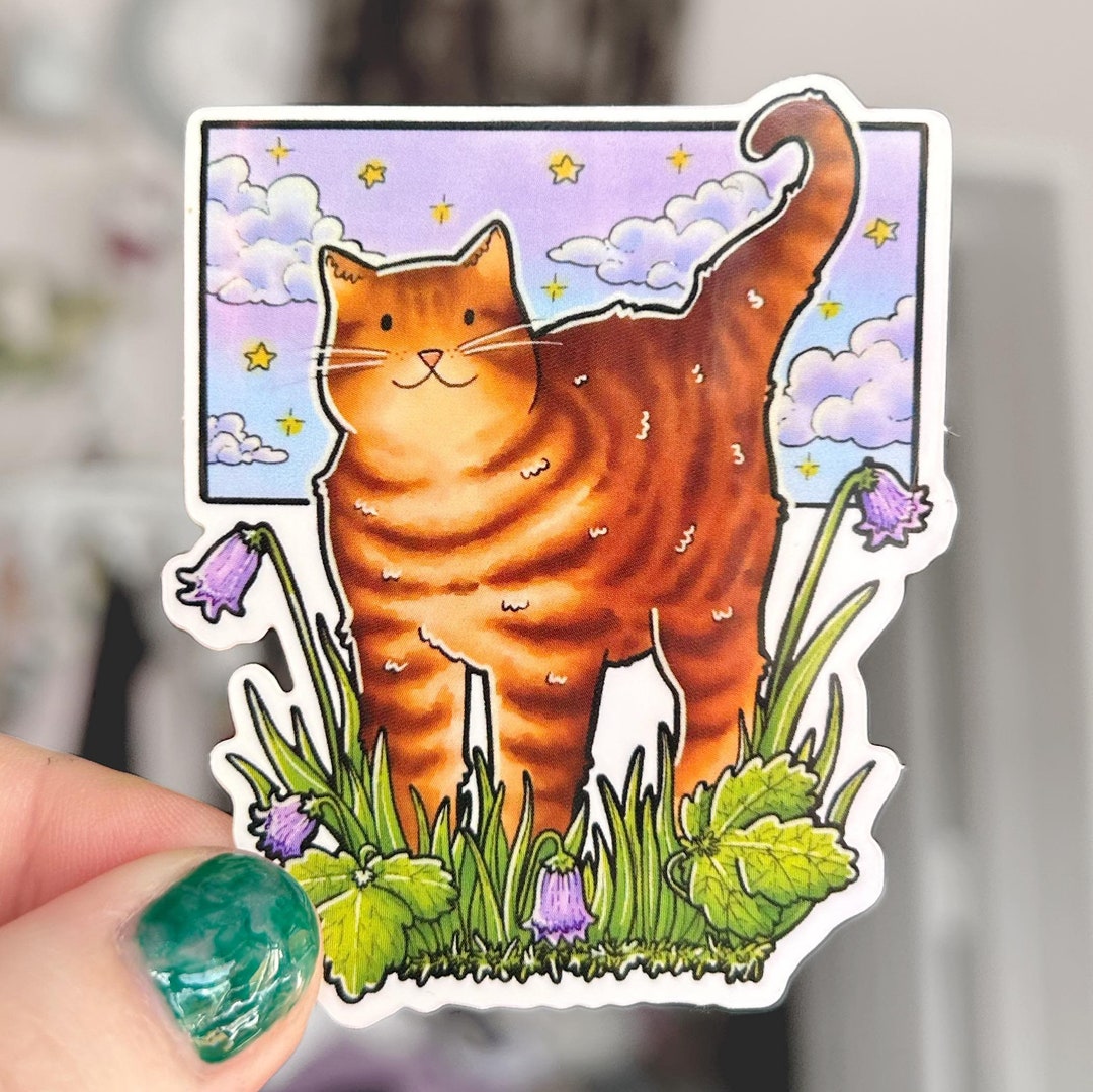 Cute Bluebell Tabby Cat Vinyl Sticker - Etsy