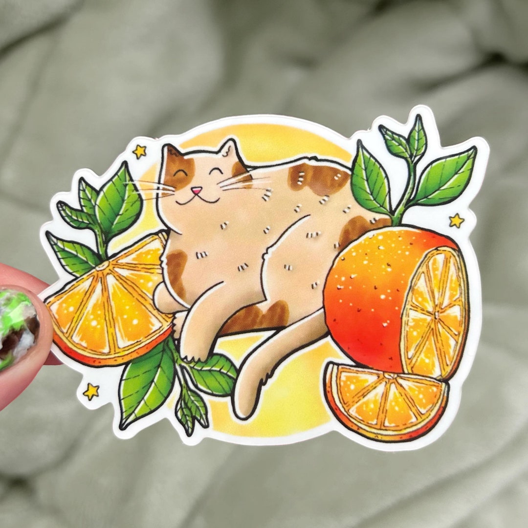 Cute Orange Fruit Cat Vinyl Sticker - Etsy