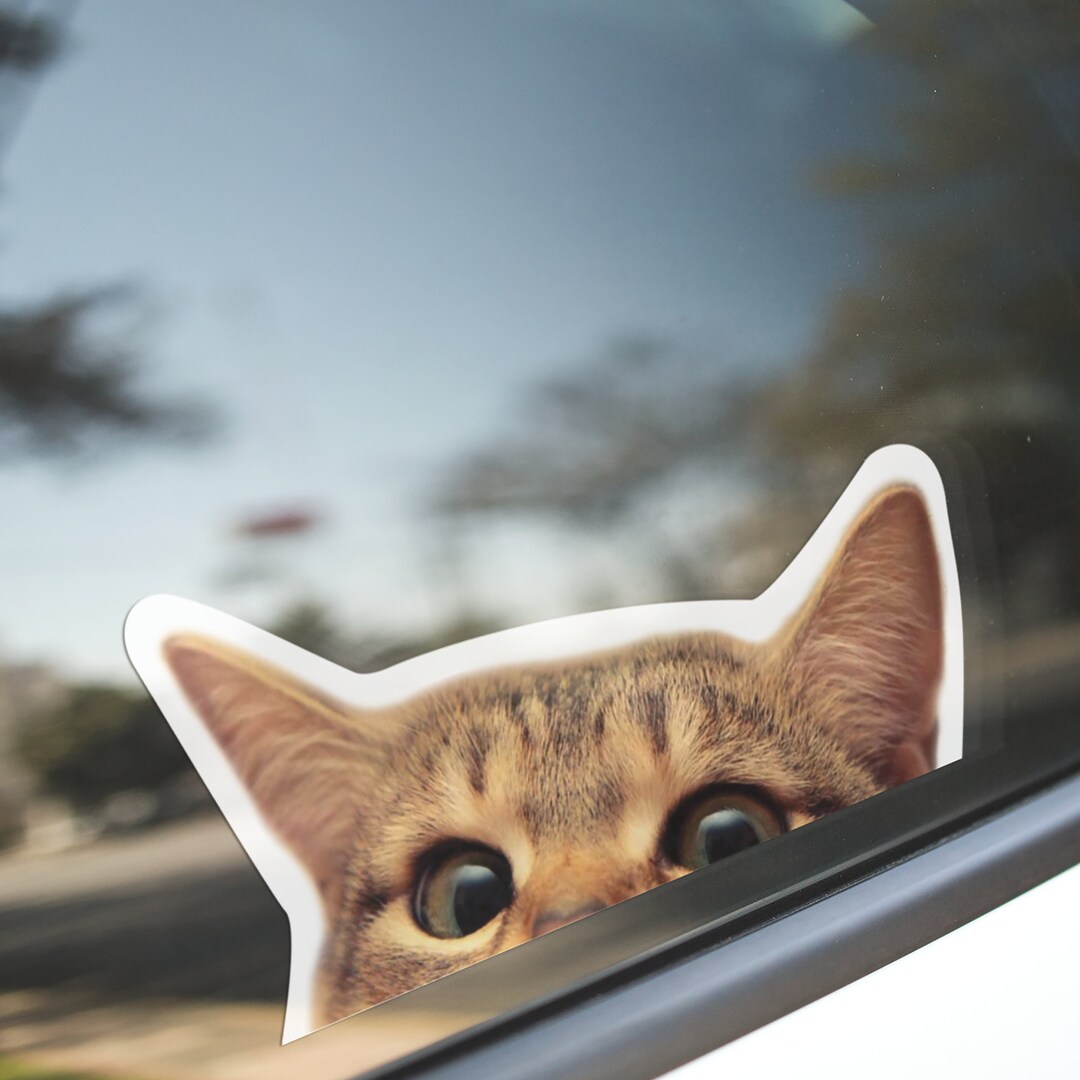 WATERPROOF Cute Peeking Cat Sticker - Etsy
