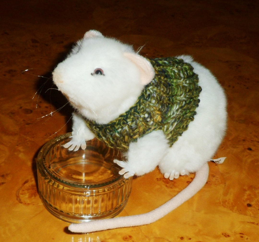RAT SWEATER for a Cheeky Rat. - Etsy