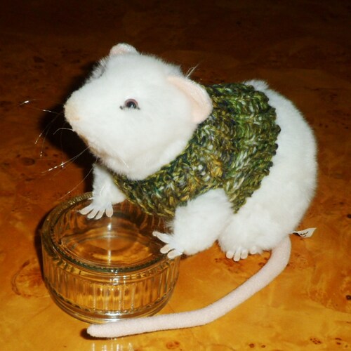 Crocheted Rat Frog Costume Rat Sweater Rat Clothing | Etsy