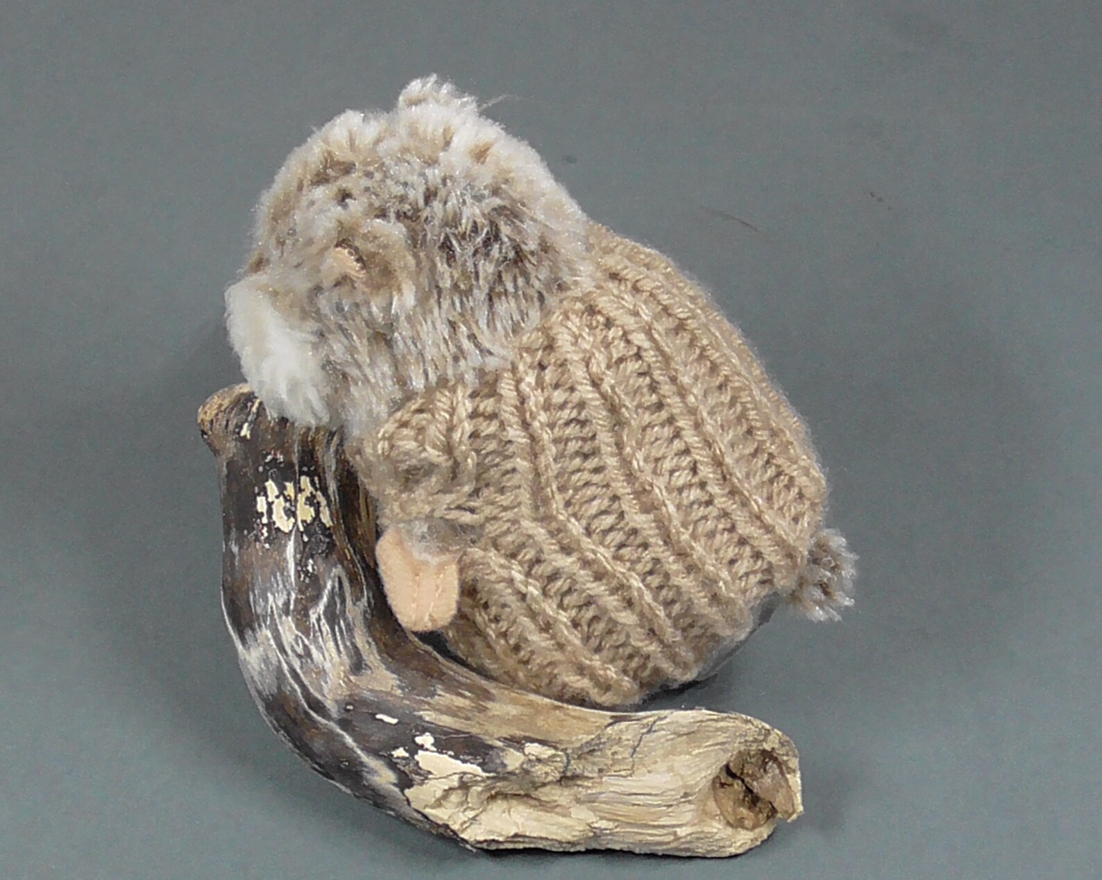 HAMSTER SWEATERS. | Etsy