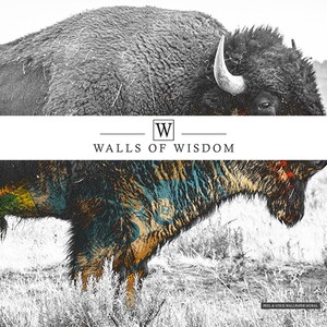 Buffalo Western Decor Wall Mural Wallpaper Peel and Stick Large Wall ...
