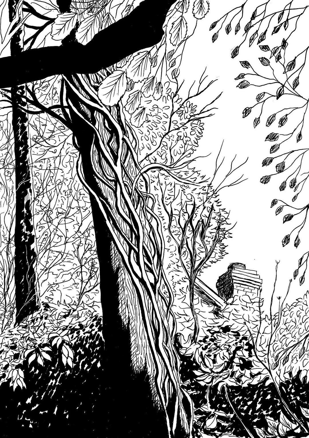 Tree With Vines Giclée Art Print - Etsy