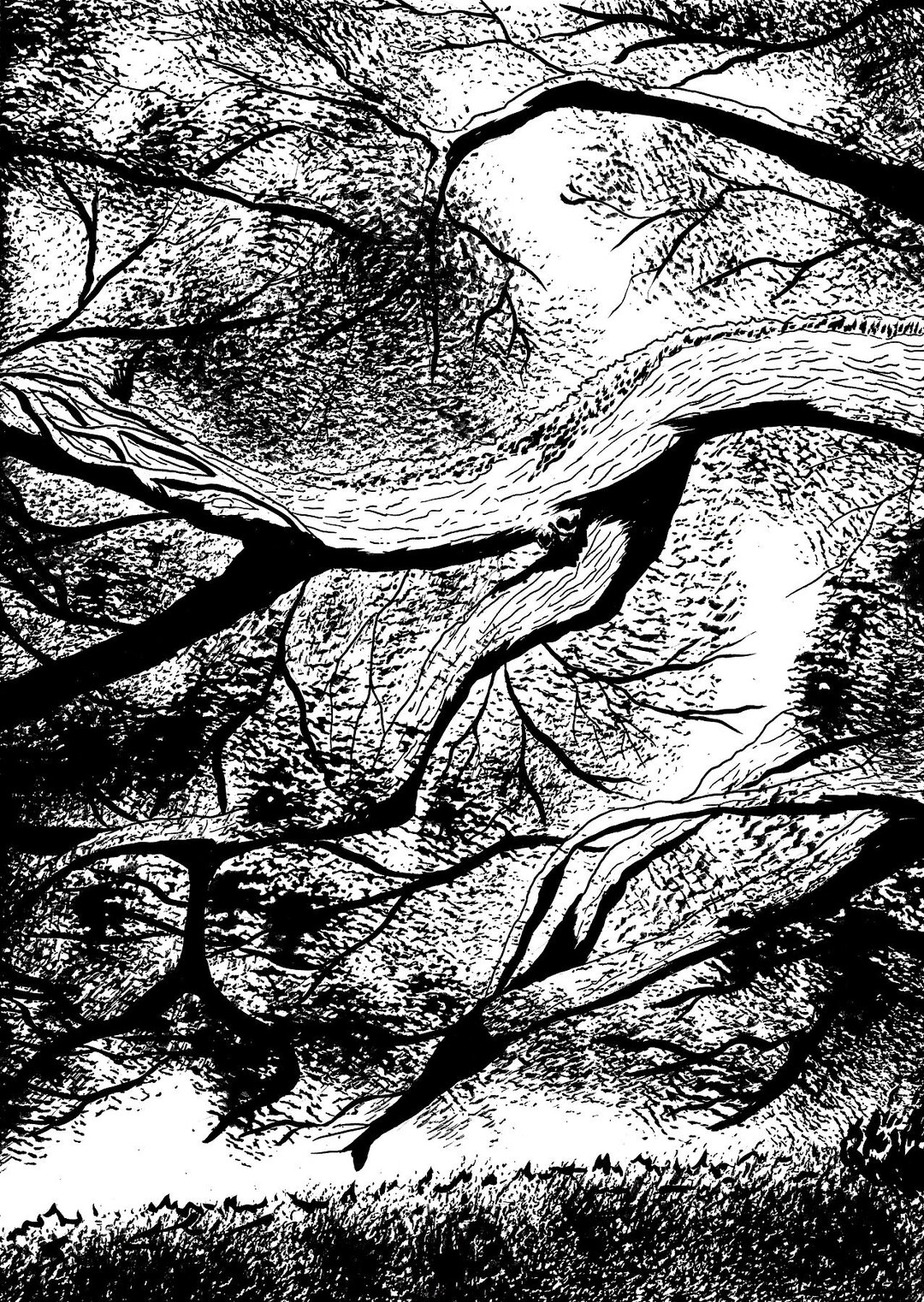 Dark Tree Branches Giclée Art Print - Etsy