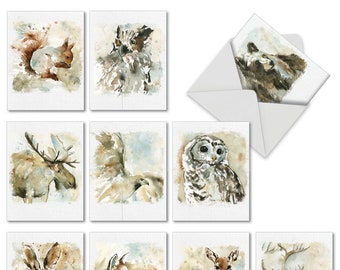 Assorted Note Cards | Etsy