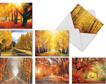 Autumn Note Cards | Etsy