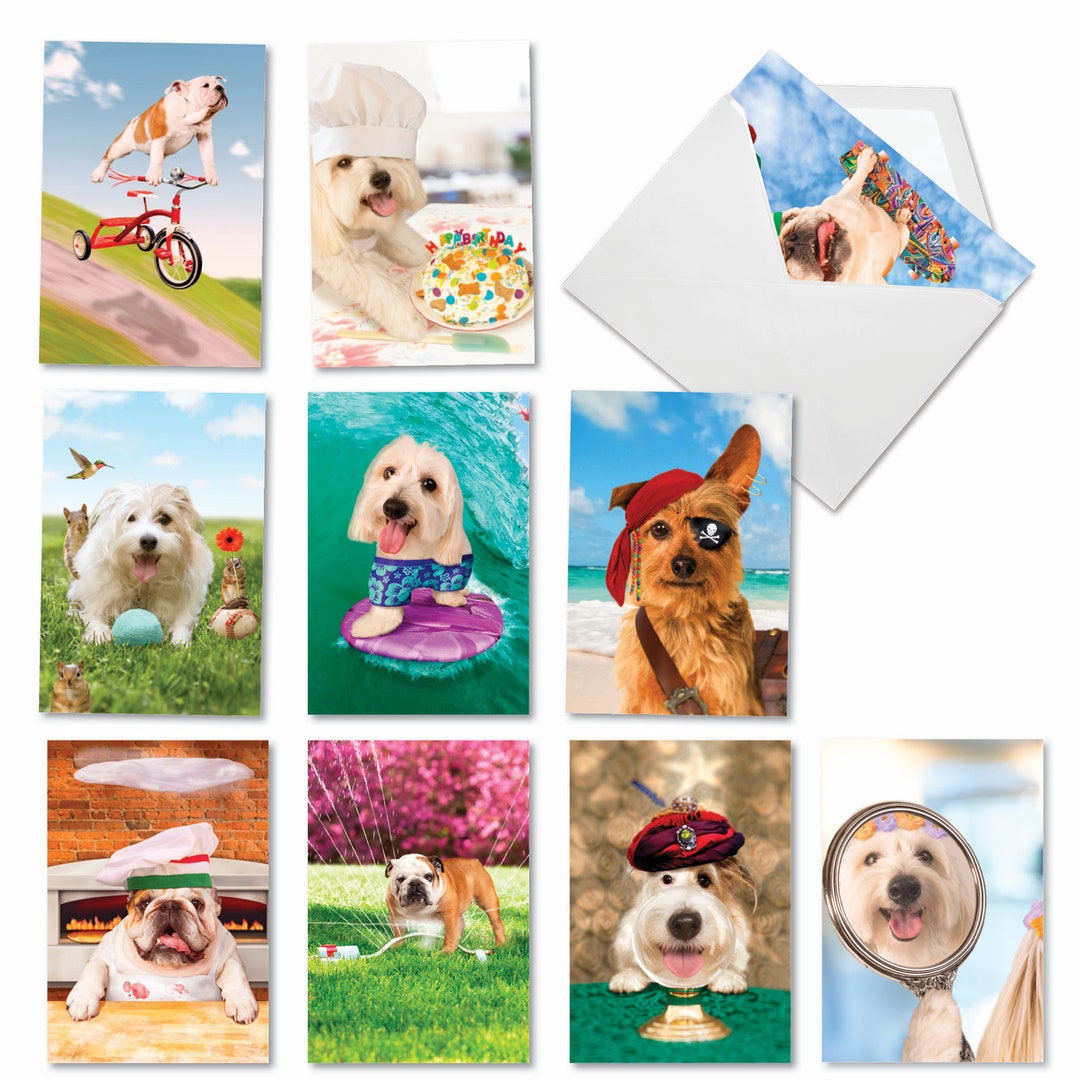 Pack of Funny Kids Birthday Cards shaggy Dogs Cute Pet Dogs Assorted ...