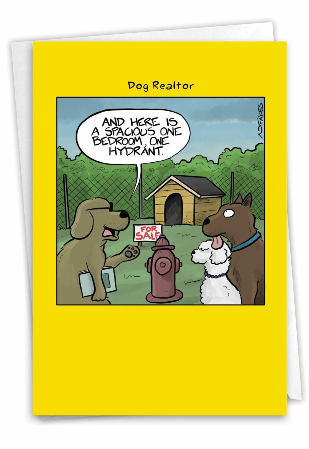 Funny Blank All Occasions Paper Card With Envelope (1 Card) Blank All ...
