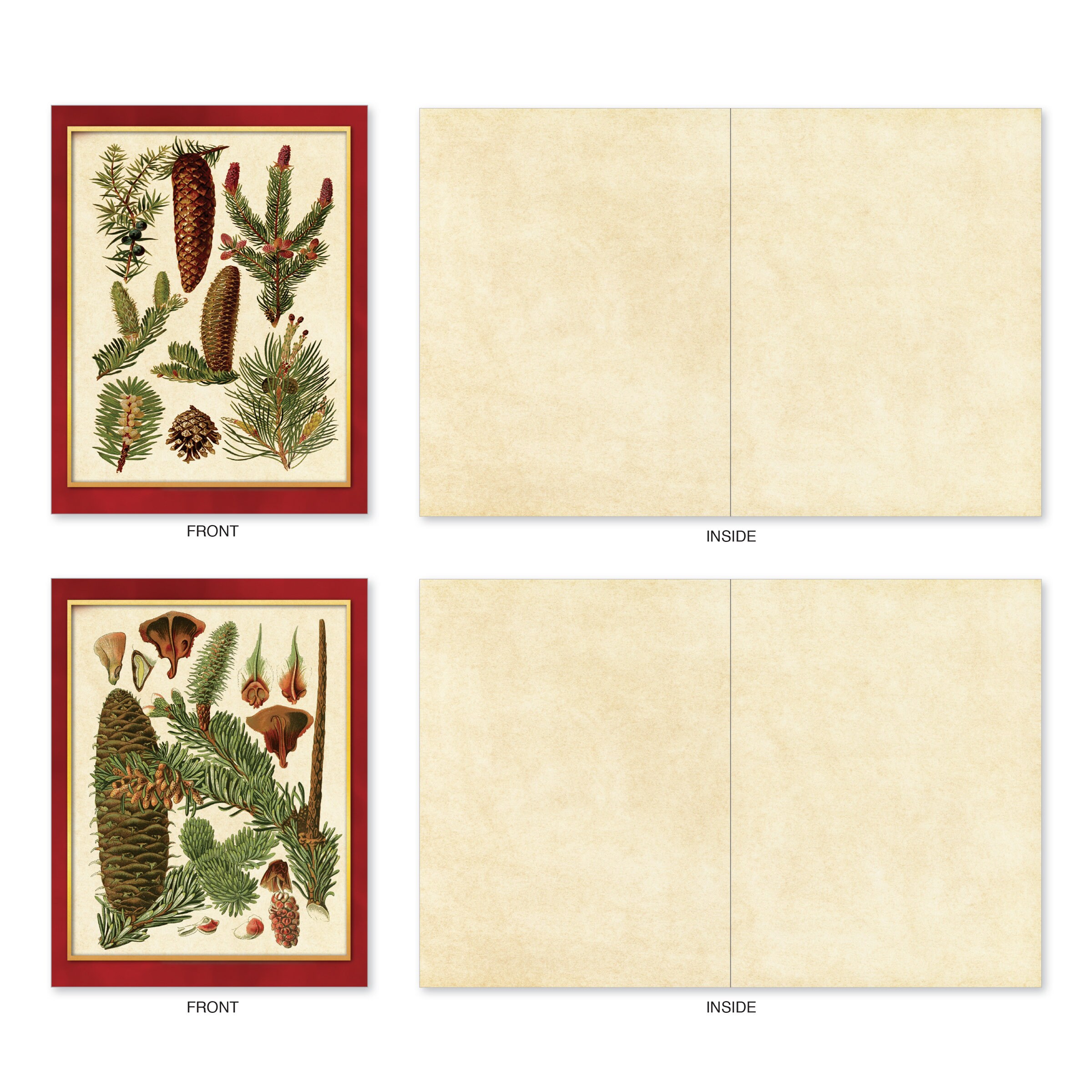 10 Assorted Blank Notecards Pack Set 4 X 5.12 Inch With - Etsy