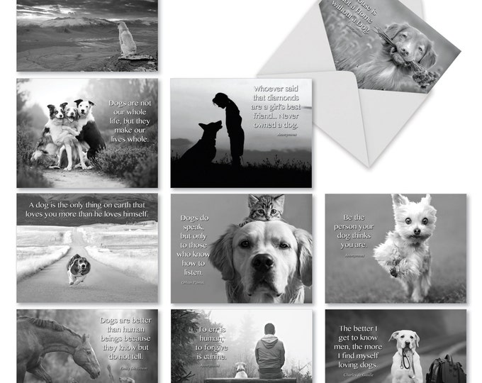 10 Assorted Blank Note Cards Packed Set 4 X 5.12 Inch With - Etsy