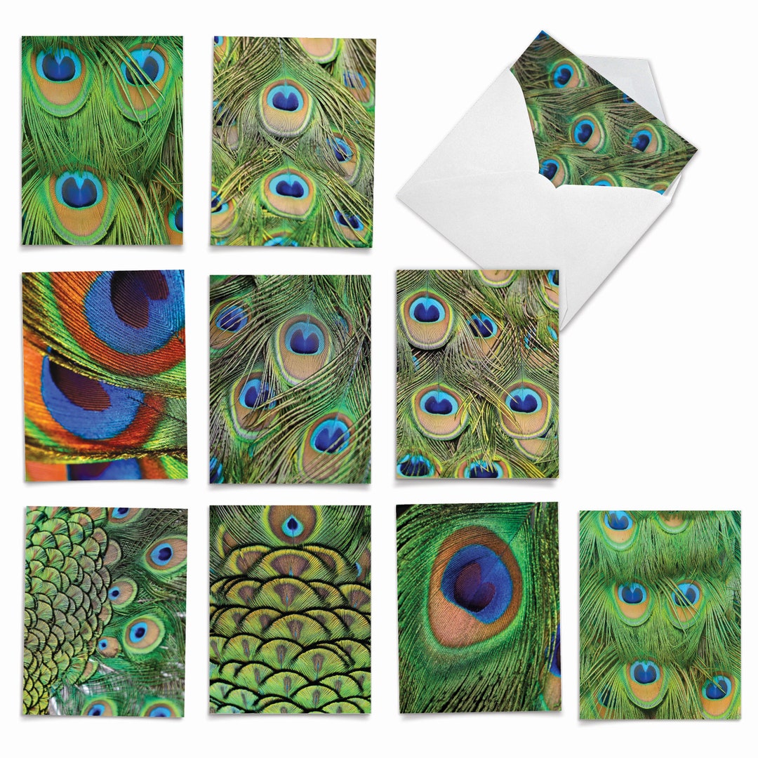 10 Assorted Blank Notecards Pack Set 4 X 5.12 Inch With Envelopes (10 ...