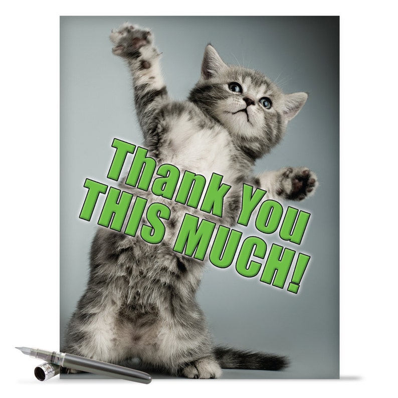 J3612 'thank You This Much Kitten' Big Thank You | Etsy