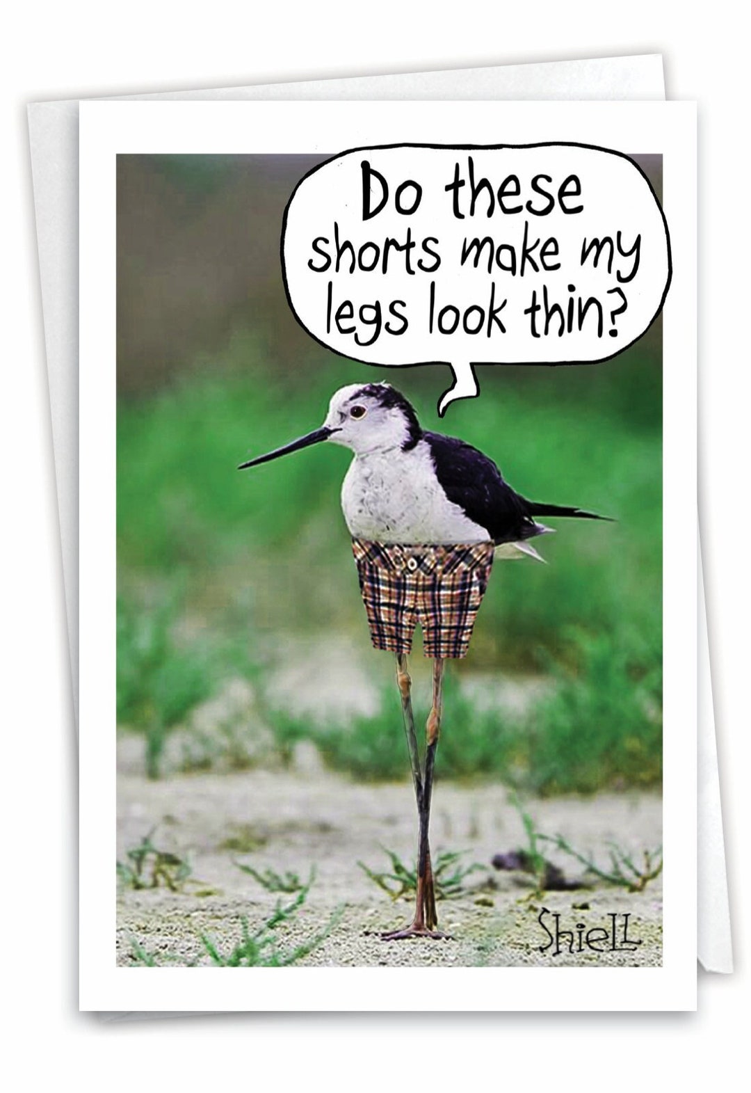 Funny Birthday Paper Card With Envelope Bday Skinny Bird Legs , for Him ...