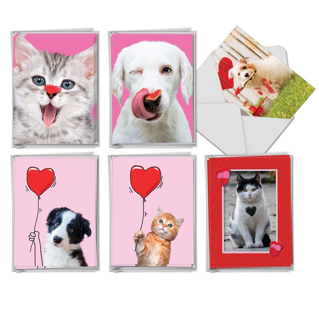 36 Assorted Valentine's Day Note Cards Bulk Box Set 4 X - Etsy