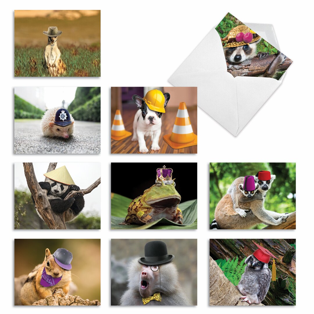 10 Assorted Blank Notecards Set 4 X 5.12 Inch With Envelopes (10 ...