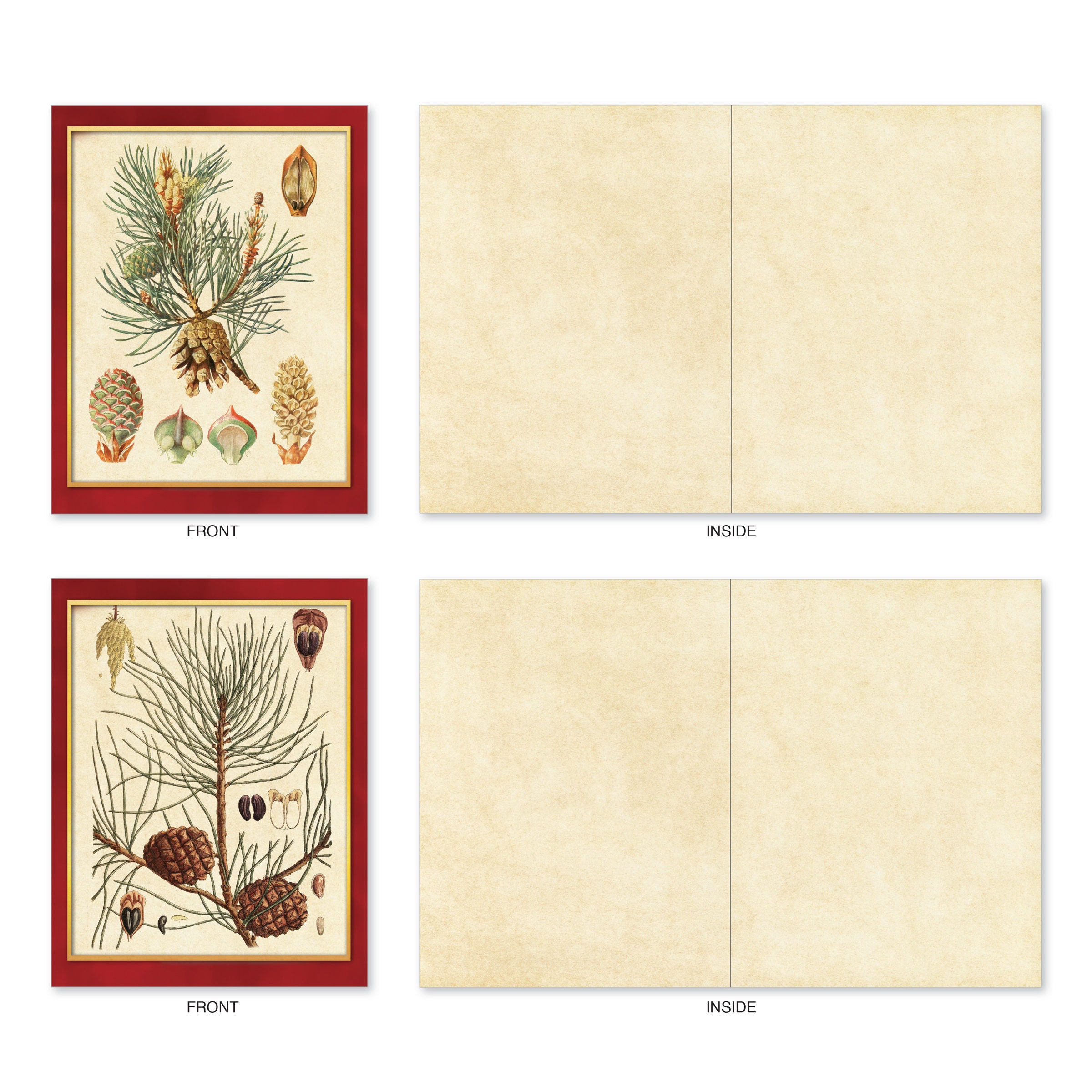 10 Assorted Blank Notecards Pack Set 4 X 5.12 Inch With - Etsy
