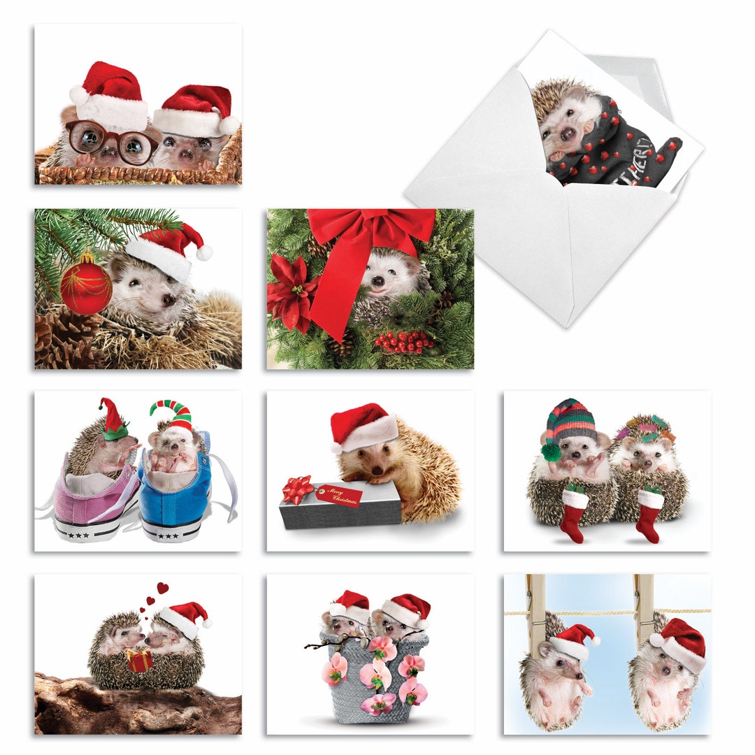 10 Assorted Blank Christmas Note Cards Set 4 X 5.12 Inch With Envelopes ...