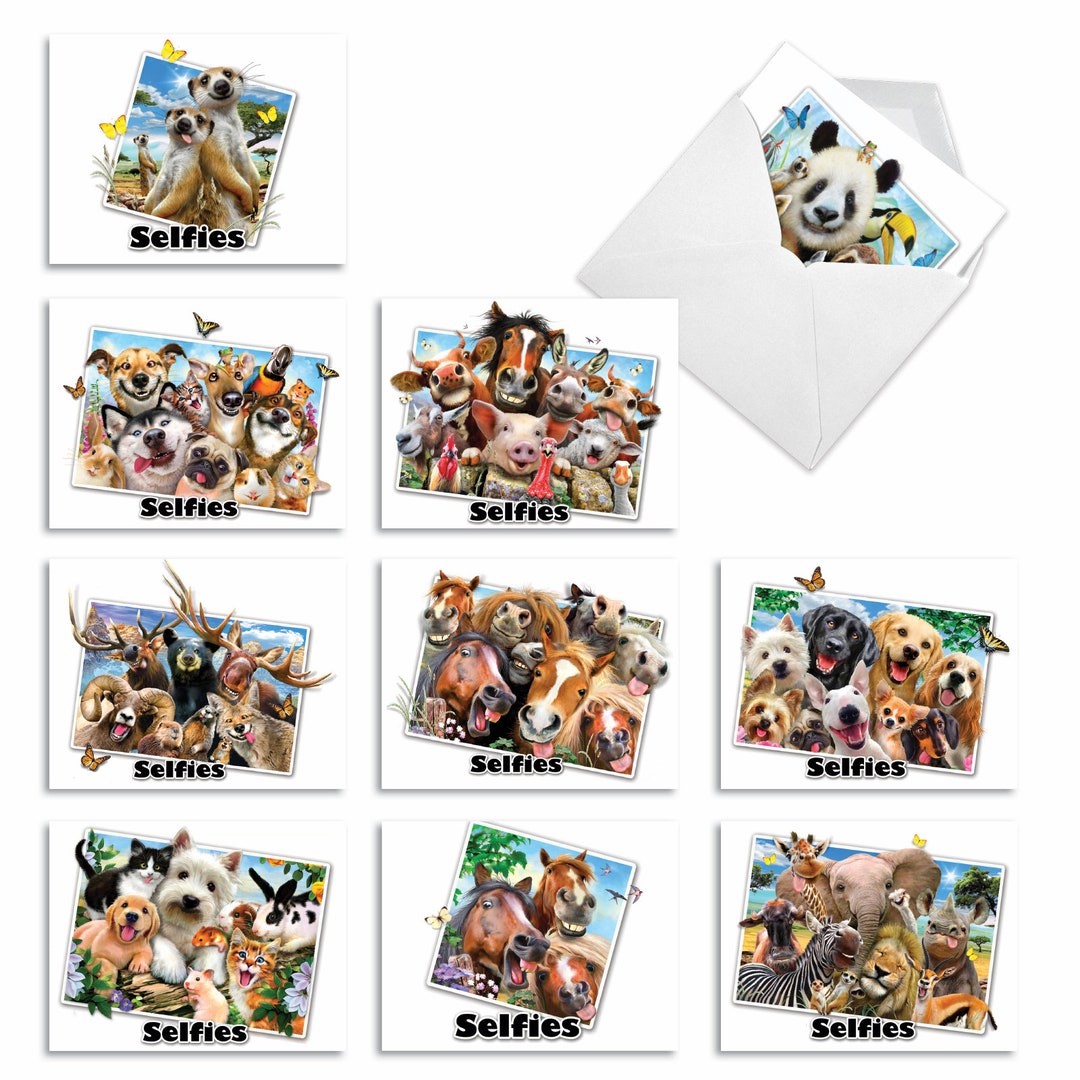 10 Assorted Funny Blank Note Cards Set 4 X 5.12 Inch With Envelopes (10 ...