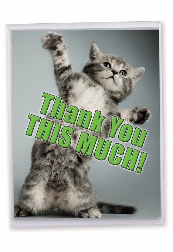 Cute Kitten Thank You