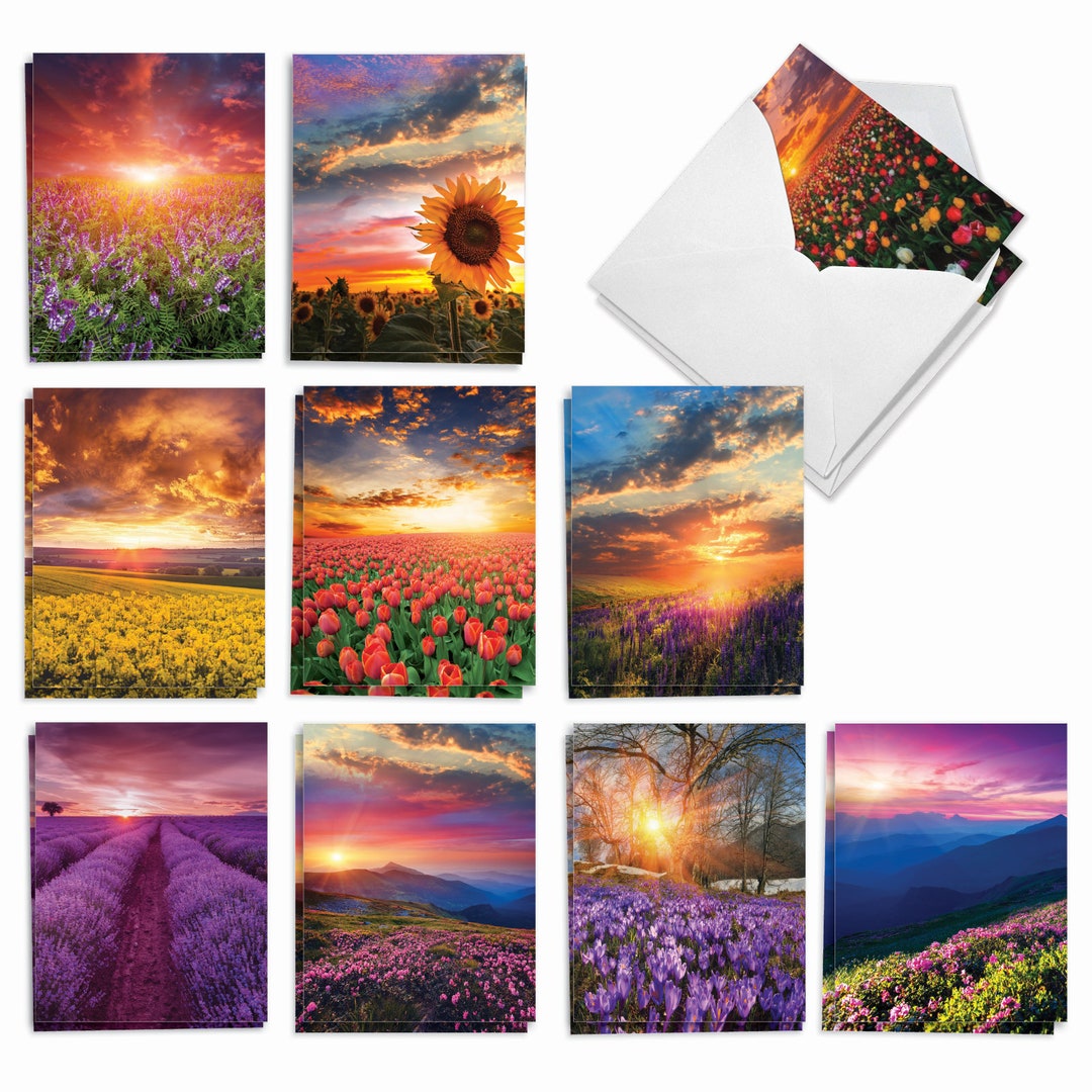 20 Assorted Blank Notecards Bulk Bulk Pack 4 X 5.12 Inch W/ Envelopes ...