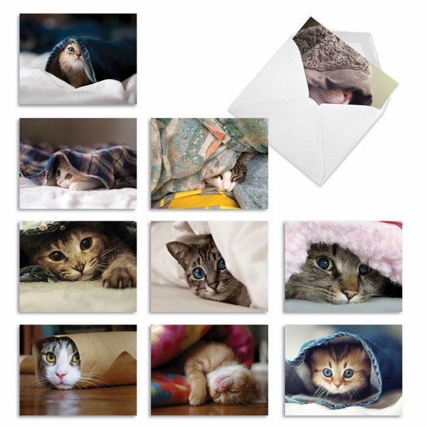 Cat Note Cards - Etsy