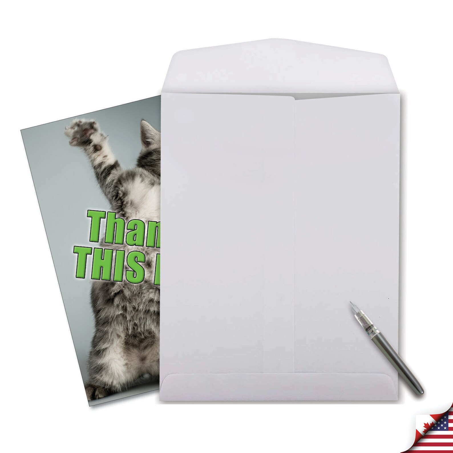 Kitten Thank You Card (extra Large 8.5x11 Inch) - Etsy