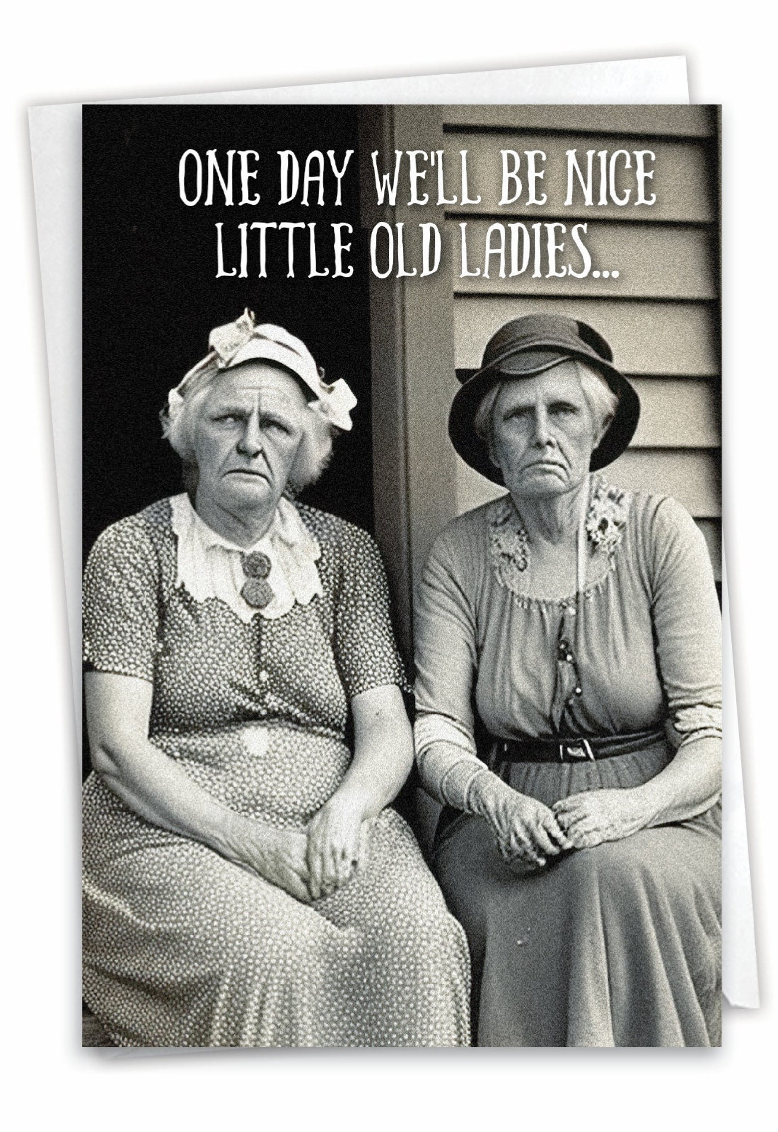 Funny Birthday Greeting Card With Envelope 1 Card Bday Nice Old Ladies ...