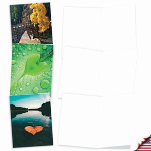 10 Assorted Blank All Occasions Note Cards Bulk Pack 4 X 5.12 Inch With ...