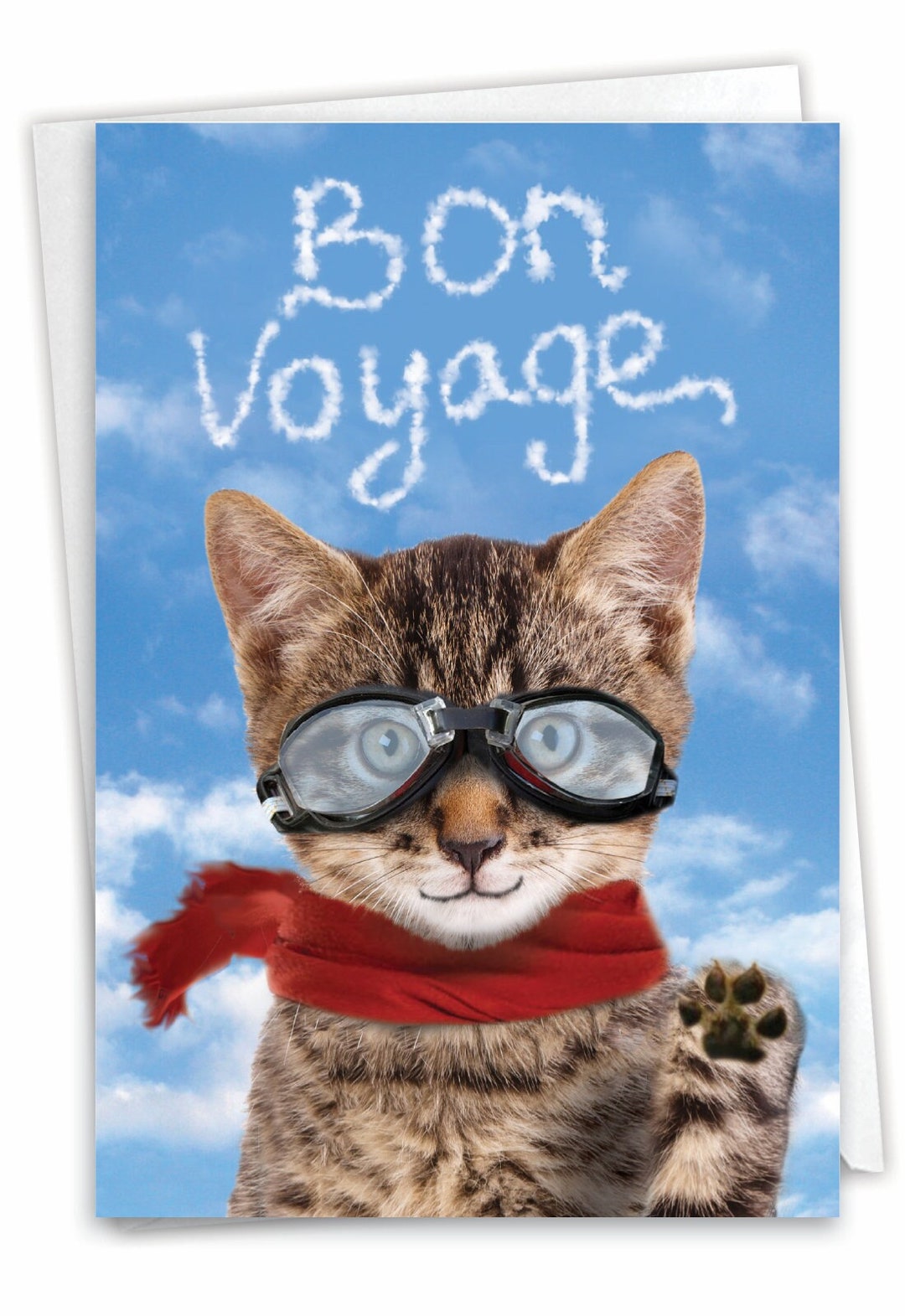 Funny Bon Voyage Greeting Card W/ Envelope (1 Card) Farewell, Good Luck ...
