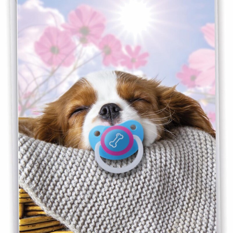 Jumbo Pacifier - Etsy