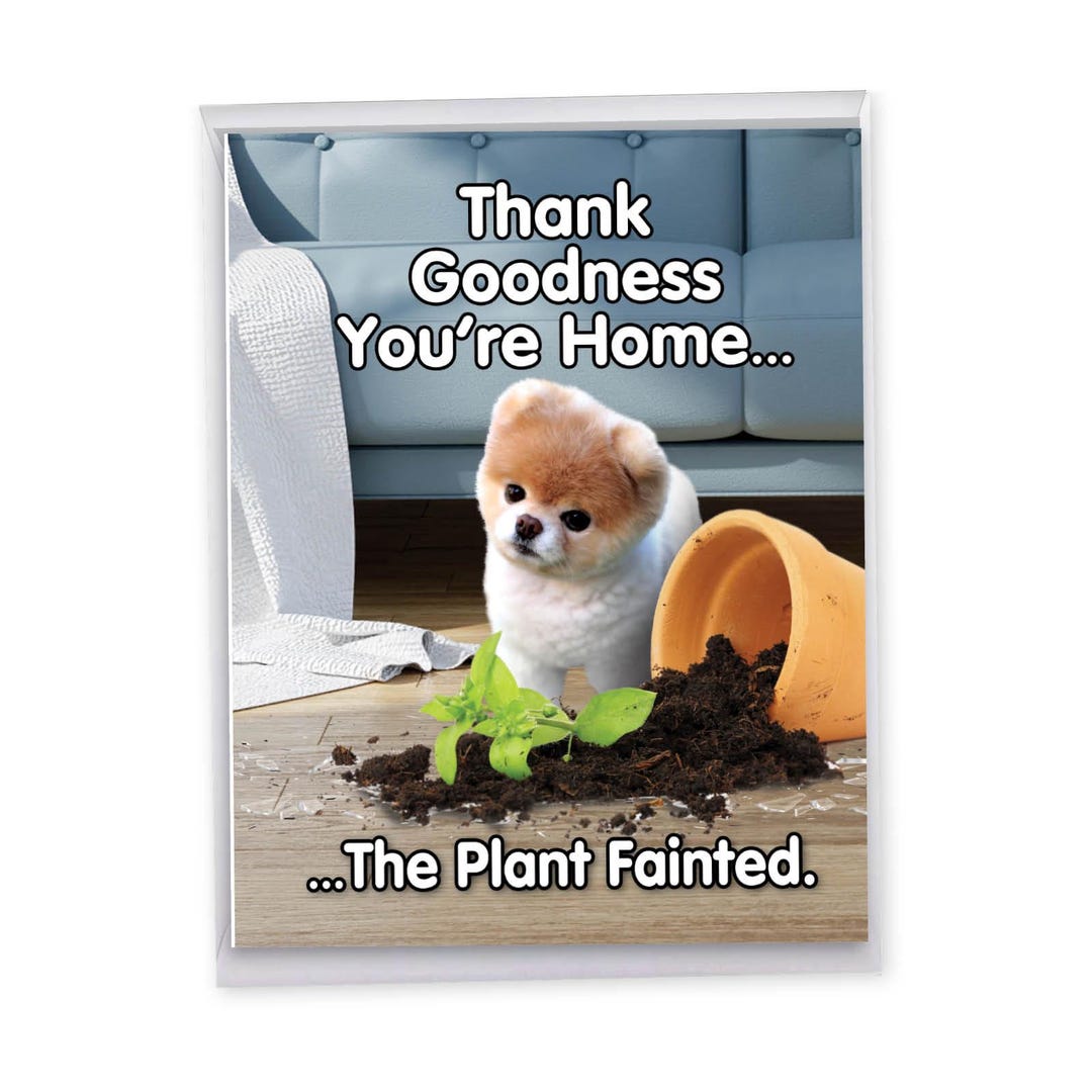 Extra Large Funny Birthday Greeting Card 8.5 X 11 Inch With Envelope (1 ...