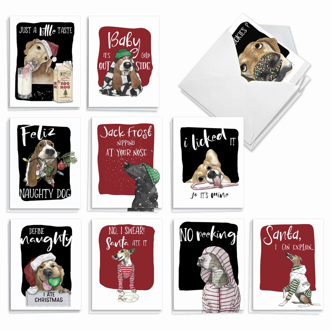 20 Assorted Funny Christmas Note Cards Bulk Pack 4 X 5.12 Inch W ...