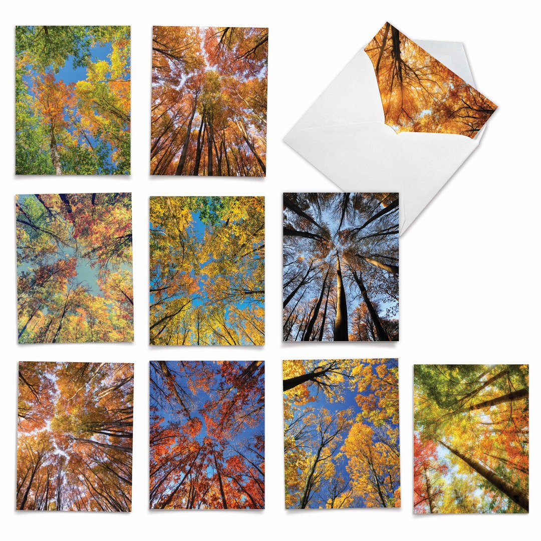 10 Assorted Blank Notecards Bulk Pack Set 4 X 5.12 Inch With Envelopes ...