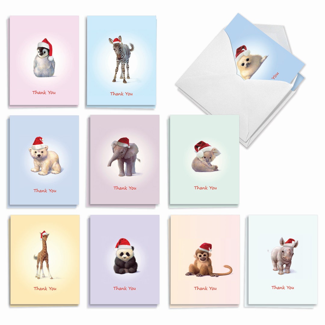 20 Assorted Blank Christmas Thank You Notecards Bulk Bulk Pack 4 X 5.12 ...