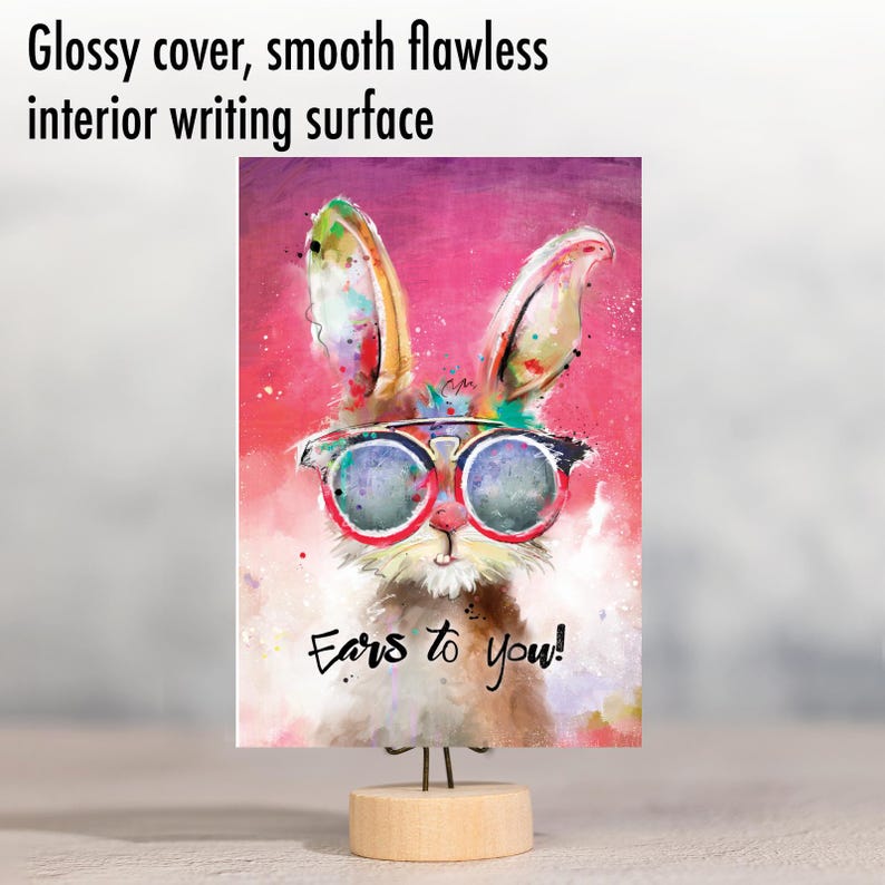 Funny Birthday Greeting Card (1 Card) Bday Sassy Animals-rabbit ...
