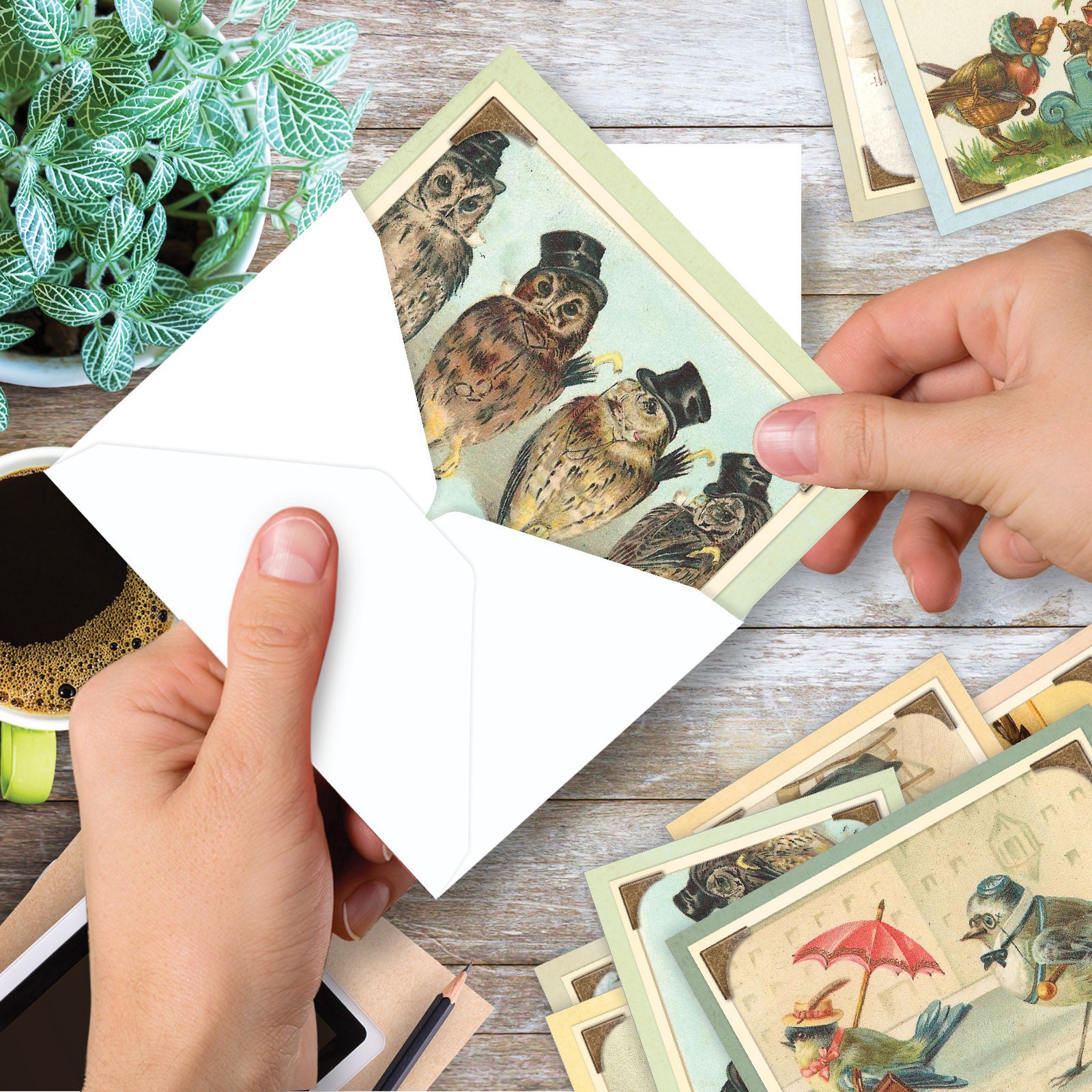 10 Assorted Blank Note Cards Pack Set 4 X 5.12 Inch With - Etsy