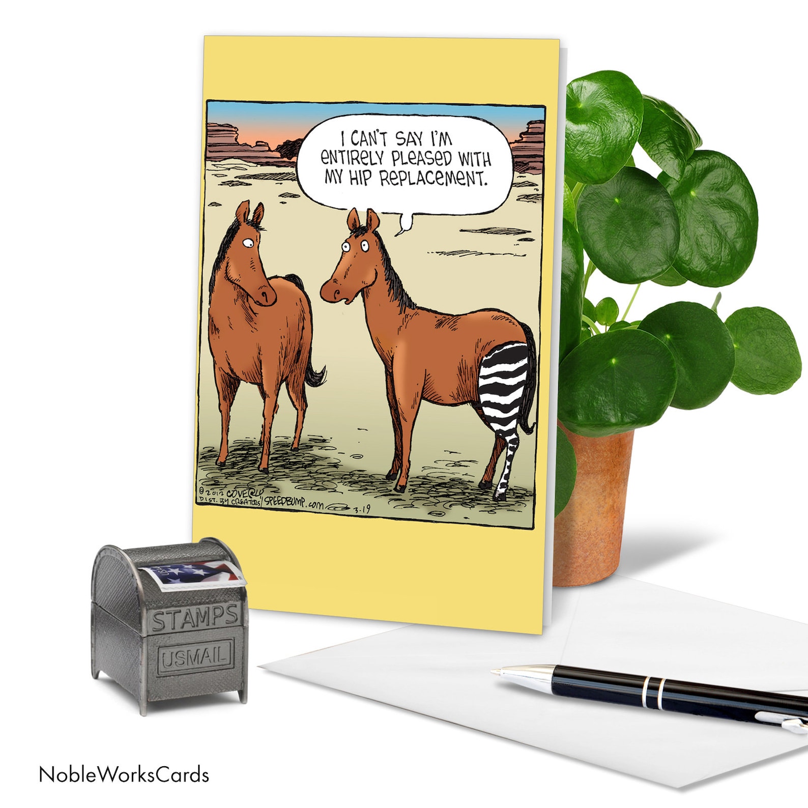 Pack of 3 Humorous Get Well Greeting Cards With Envelopes 1 - Etsy