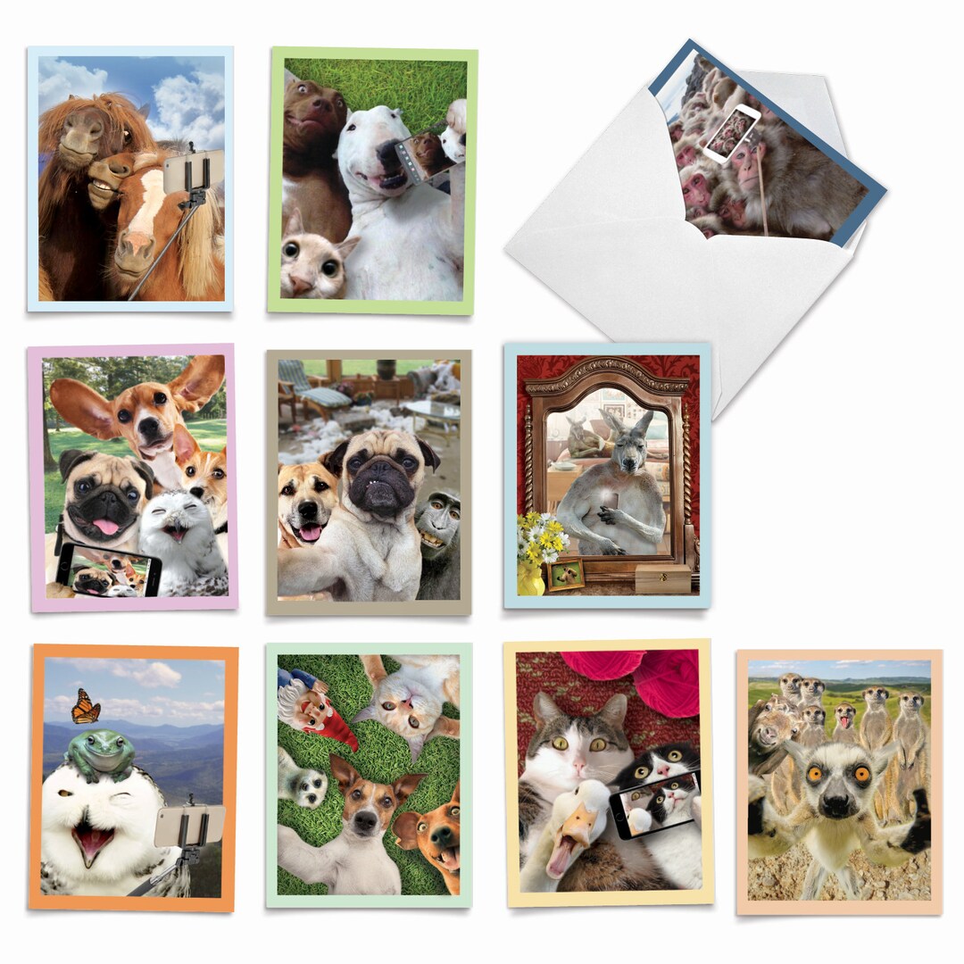 10 Assorted Blank Note Cards Pack Set 4 X 5.12 Inch With Envelopes (10 Designs, 1 Each) ANIMAL ...