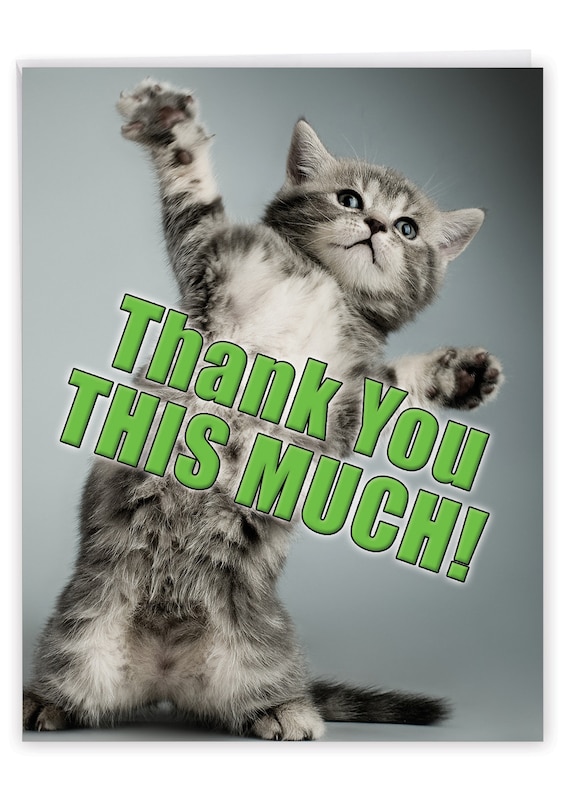 Linsening For Cats With Thank You