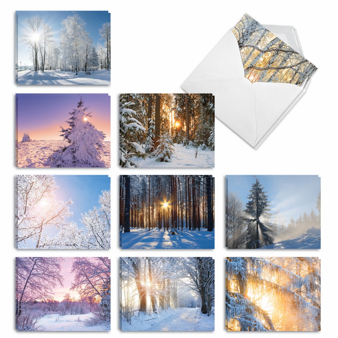 20 Assorted Blank Christmas Note Cards Bulk Pack 4 X 5.12 Inch W ...