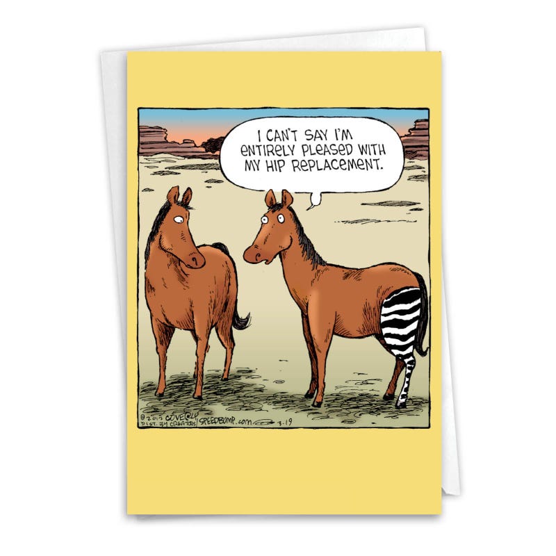 Get Well Cards With Horses - Etsy