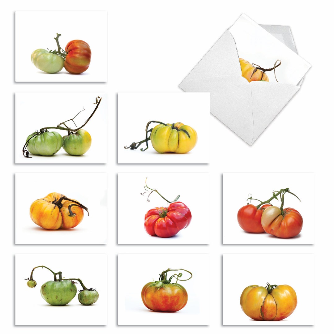 10 Assorted Blank All Occasions Notecards Set 4 X 5.12 Inch With ...