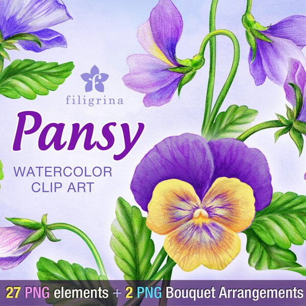 Pansy Bouquet - Etsy