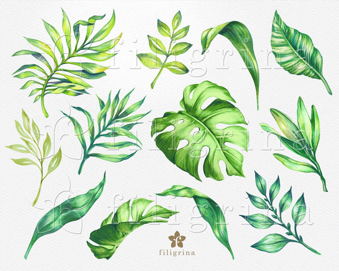 Tropical Leaves WATERCOLOR Clip Art. Fresh Foliage, Jungle Nature ...
