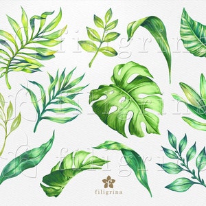 Tropical Leaves WATERCOLOR Clip Art. Fresh Foliage, Jungle Nature ...
